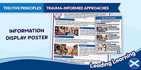 The Impact of Trauma Display Poster