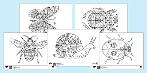 Colouring Page of Insects