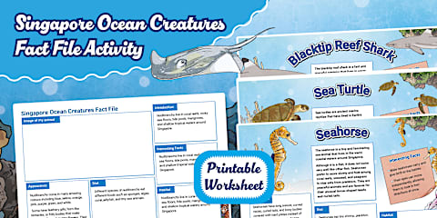 Singapore All About My Pet Activity Sheet