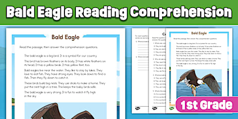 First Grade September Reading Comprehension Checks