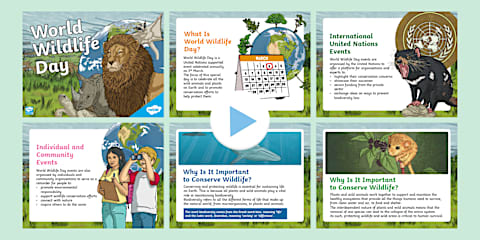 World Wildlife Day Topic Planner