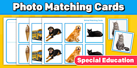 Identical and Nonidentical Matching Cards and Sorting Mats for Special ...
