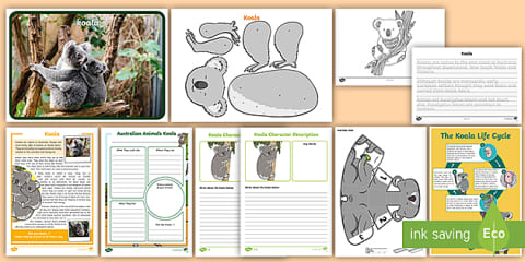 Kangaroo Resource Pack | Kangaroo Templates and Worksheets