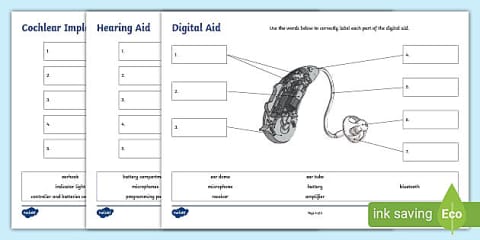 Hearing Aid Labelling Worksheet