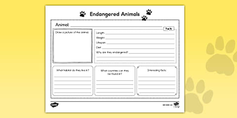 Endangered Animals Activity Pack