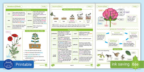 Sexual Reproduction in Flowering Plants Notes