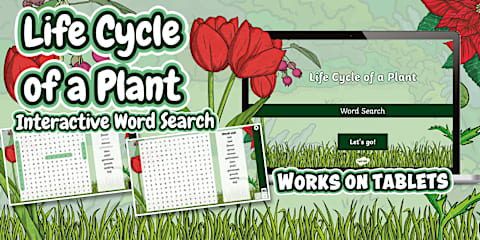 RE: The Bible: UKS2 Interactive Word Search