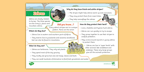 Zebra Species Fact File Template