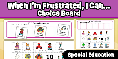 Life Skills Photo Sorting Activity: Where Does It Go? for Special Education