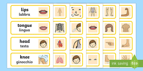 Body Parts Labelling Activity English/Italian