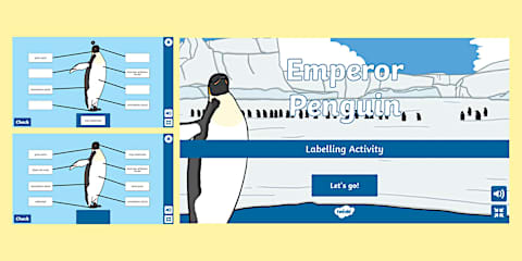 Interactive PDF: Emperor Penguin Reading Comprehension Worksheet