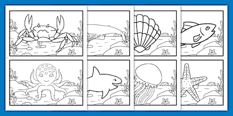 Land and Ocean Animal Sorting Worksheet for PreK-K