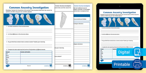 Eighth Grade Darwin's Finches Differentiated Cloze Reading Worksheet