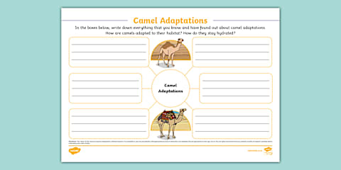Camel Fact File Template