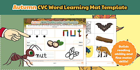 Randomize and Write Sentences Template