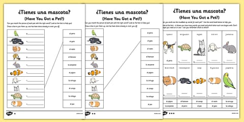 Spanish Parts Of A House Worksheet
