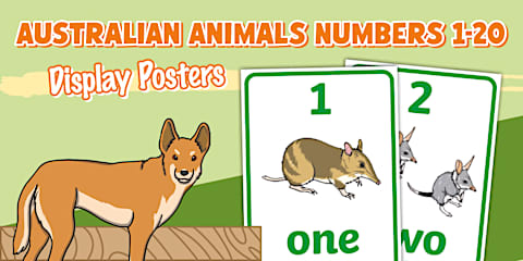 Australian Animal Number Cards (1-10)