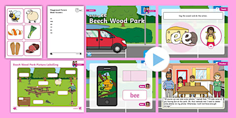 'ee' Phonics Lesson Pack - Level 3 Week 4 Lesson 3