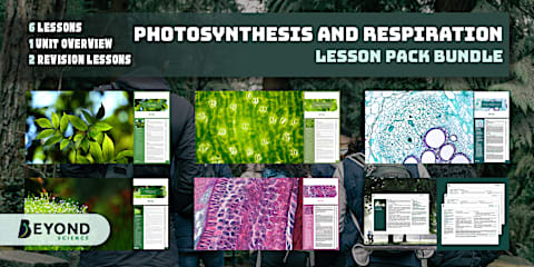 KS3 Photosynthesis and Respiration Lesson 3: Plant Minerals and ...