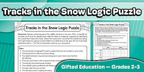 Fishing Trip Logic Puzzle for Gifted Education | 2nd-3rd Grade