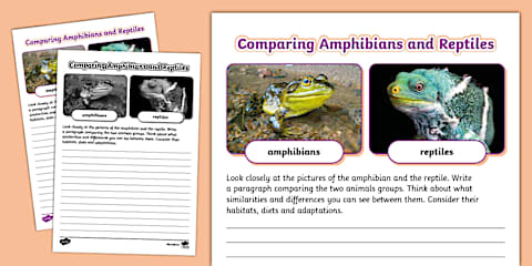Comparing Amphibians and Reptiles Mind Map