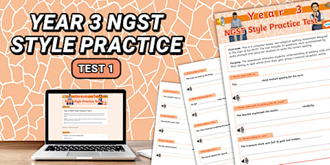 Year 2 NGST Style Practice Test 4