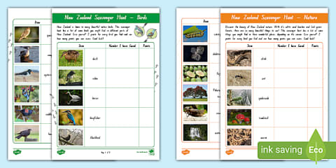 I Spy Nature Frames in Te Reo Māori Pack