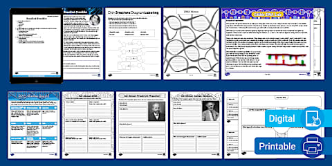 Genetics and DNA Word Wall