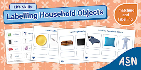 Life Skills: Matching Household Objects Activity