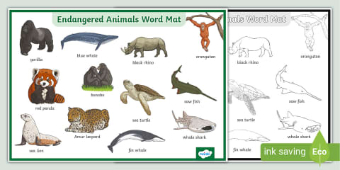 Endangered Animals Causes Display Poster