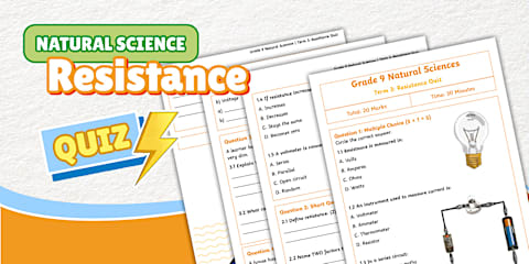 Grade 9 - NS - Term 4 - Mining of Mineral Resources - Worksheet (CAPS ...