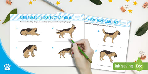 Body Language - Non-Verbal Communication Worksheets