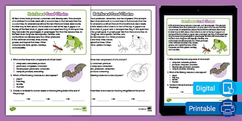 Rainforest Animals Word Search for K-2nd Grade