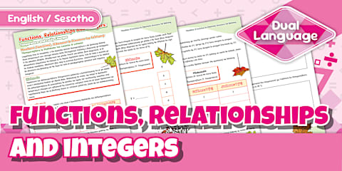 Grade 7 - Maths - Term 1 - Introduction to Algebra – A Lesson Plan ...