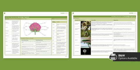 KS3 Respiration Knowledge Organiser