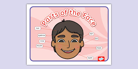Parts of the Body Face Labelling Worksheet