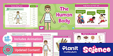 Science: Animals Including Humans: The Human Body Part 2 Year 1 Lesson 5