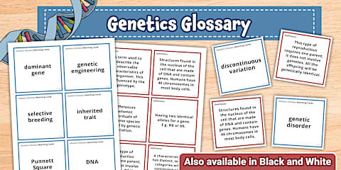 Genetics and DNA Word Wall