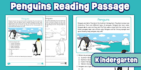 First Grade Life Cycle of a Chicken Reading Passage Comprehension Worksheet