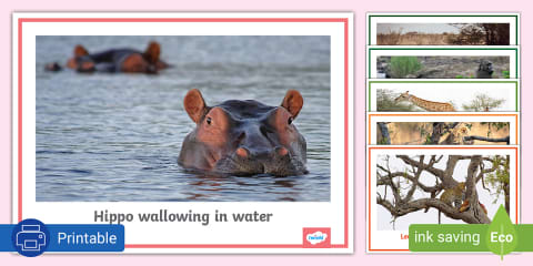 All About Animal Habitats Activity Booklet for PreK-K