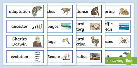 Charles Darwin KS1 Fact File - History - Significant People
