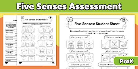All About My Five Senses Activity Booklet for PreK-K