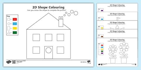 Minibeasts Colour by 2D Shape Activity Sheet