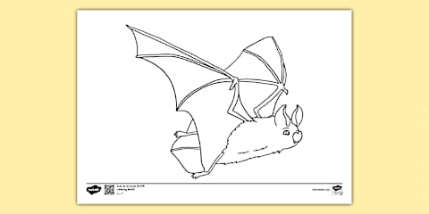 Bat Cutting Skills Worksheet
