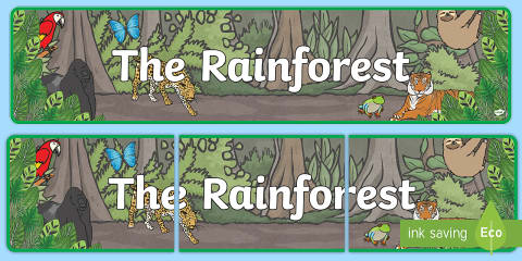 Rainforest-Themed Display Lettering Pack