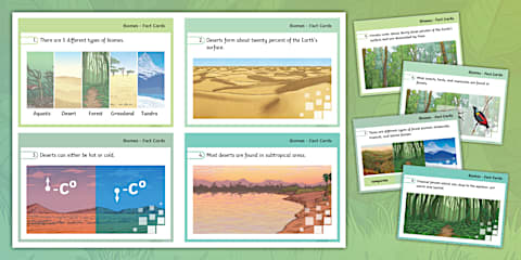 Biomes- Activity Sheet