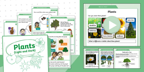 Plants and Light Differentiated Worksheets