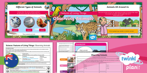STEM (Living Things) Zoo Animal Characteristics Matching Game (Senior ...