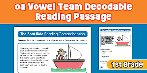 First Grade ai Vowel Team Decodable Reading Passage Comprehension Worksheet