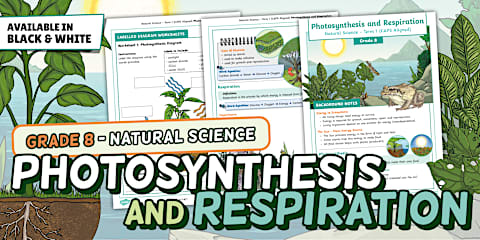 Photosynthesis Light intensity Sample Question